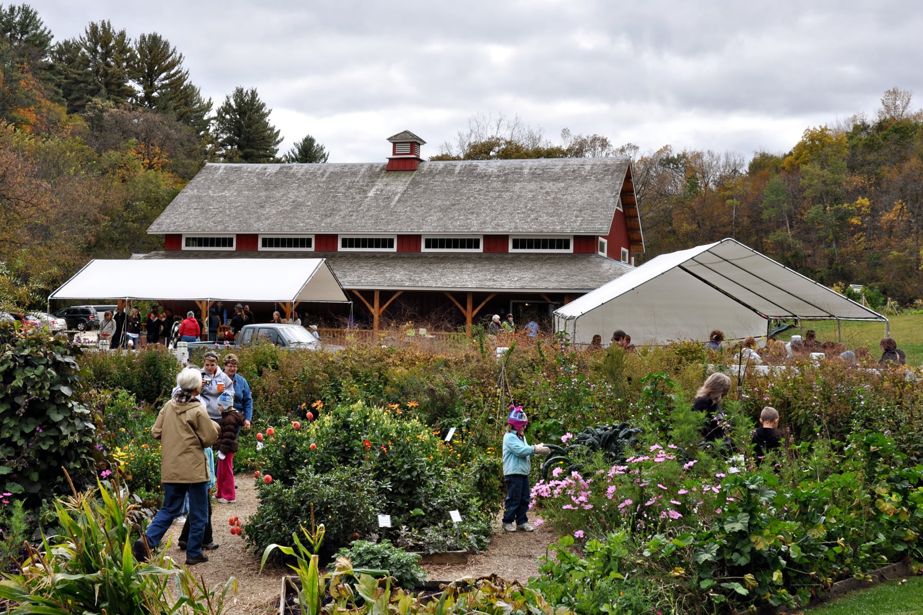 Community - Decorah Area Chamber of Commerce